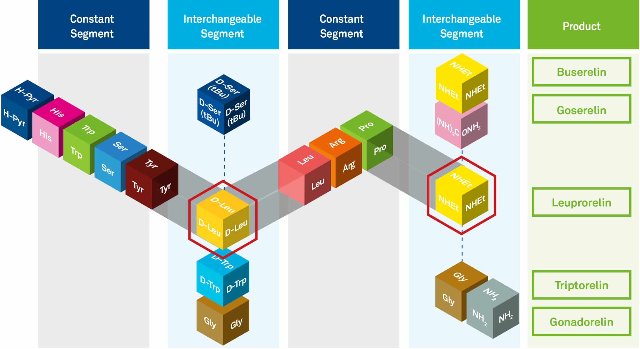 Leuprolide Acetate API Manufacturer & Supply | Bachem