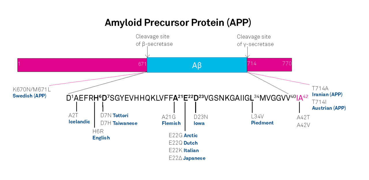 Amyloid Beta Peptides & Alzheimer's Disease