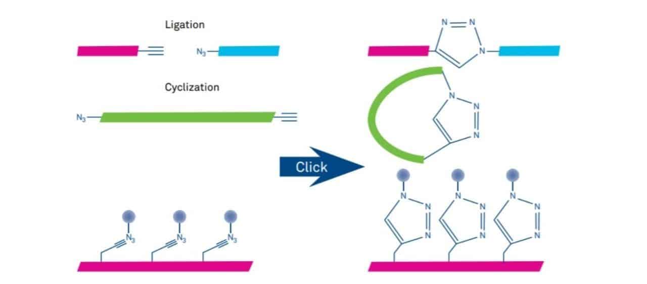 Click chemistry | Bachem