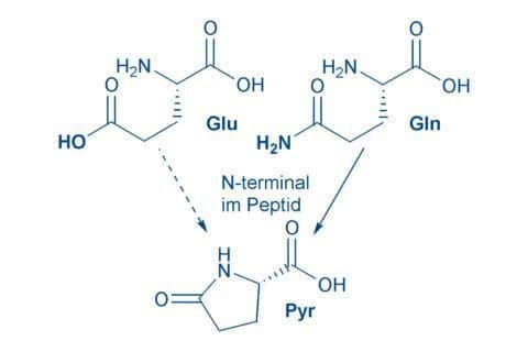 Chart of Amino Acids and its 20 proteinogenic amino acids