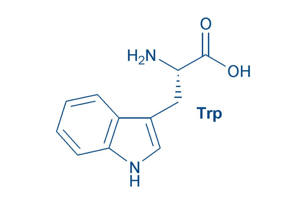 Amino acids chart | Bachem