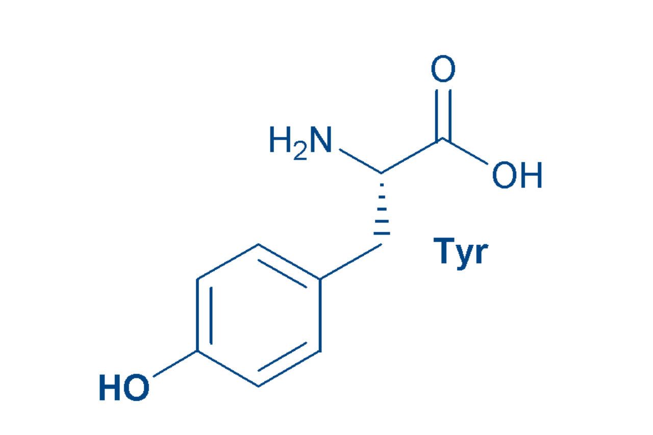 Amino acids chart | Bachem
