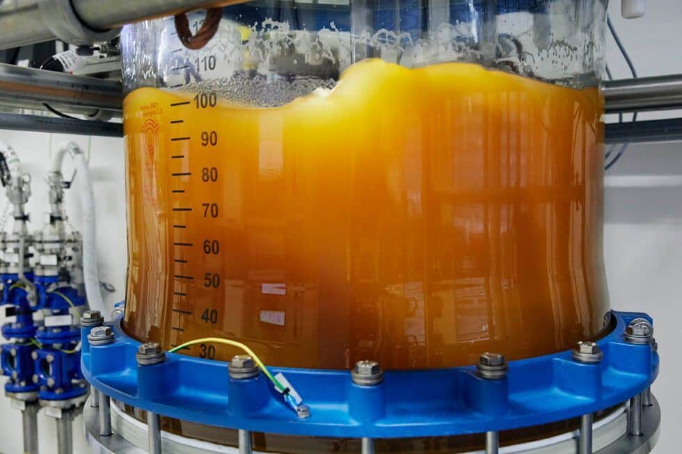 Solid Phase Peptide Synthesis (SPPS)