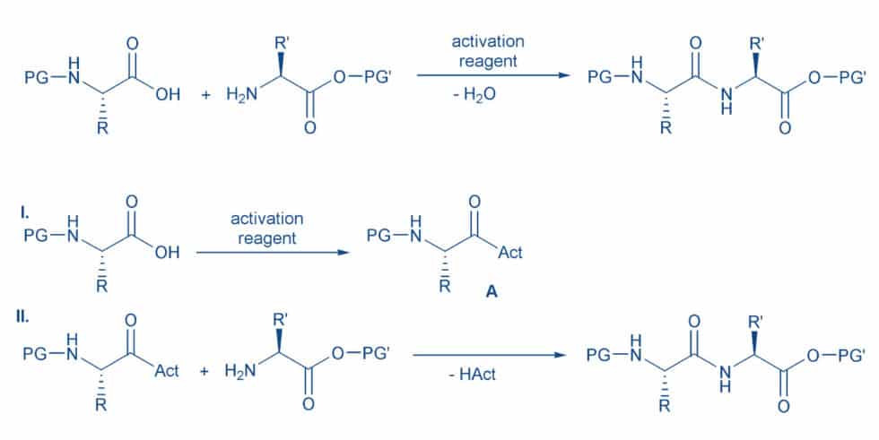 Peptide Coupling Reagents & Additives: A Guide | Bachem