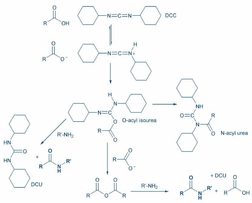 Peptide Coupling Reagents & Additives: A Guide | Bachem