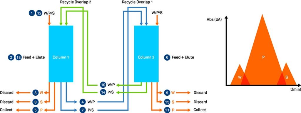 Peptide Purification Process & Methods: An Overview - Bachem