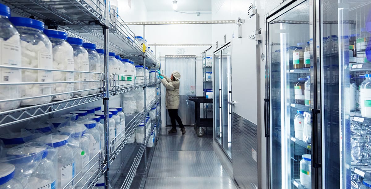 Handling and Storage Guidelines for Peptides - Bachem