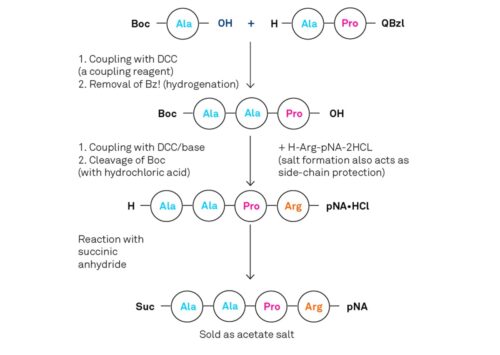 Introduction to Peptide Synthesis Methods - Bachem